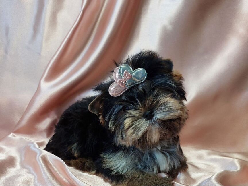 Нереальная красотка