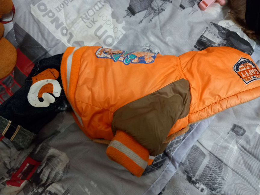 Комбинезон для маленькой собачки