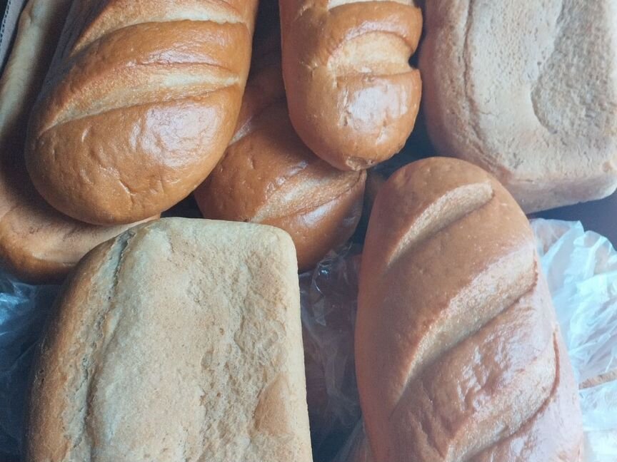 Корм для животных