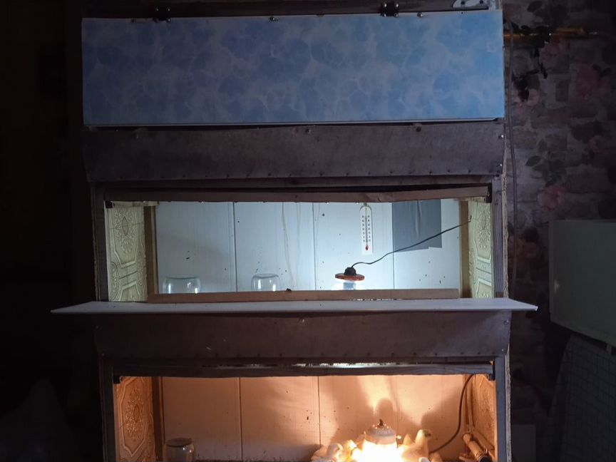 Брудер для цыплят под заказ