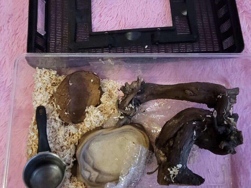 Террариум для рептилий бу