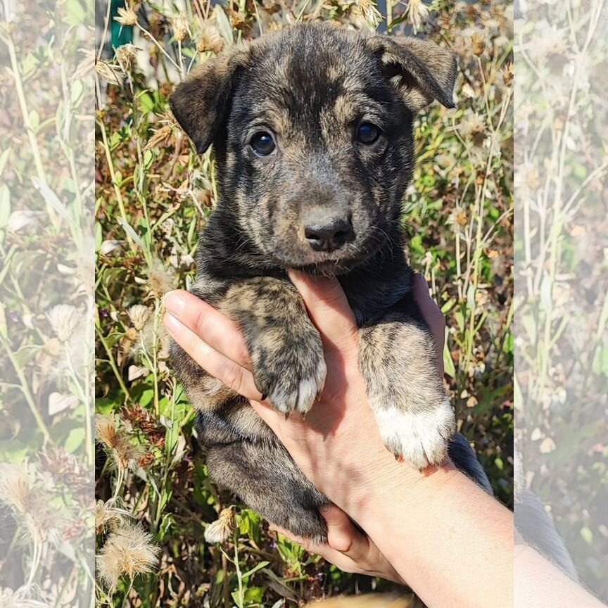 Жду мамочку