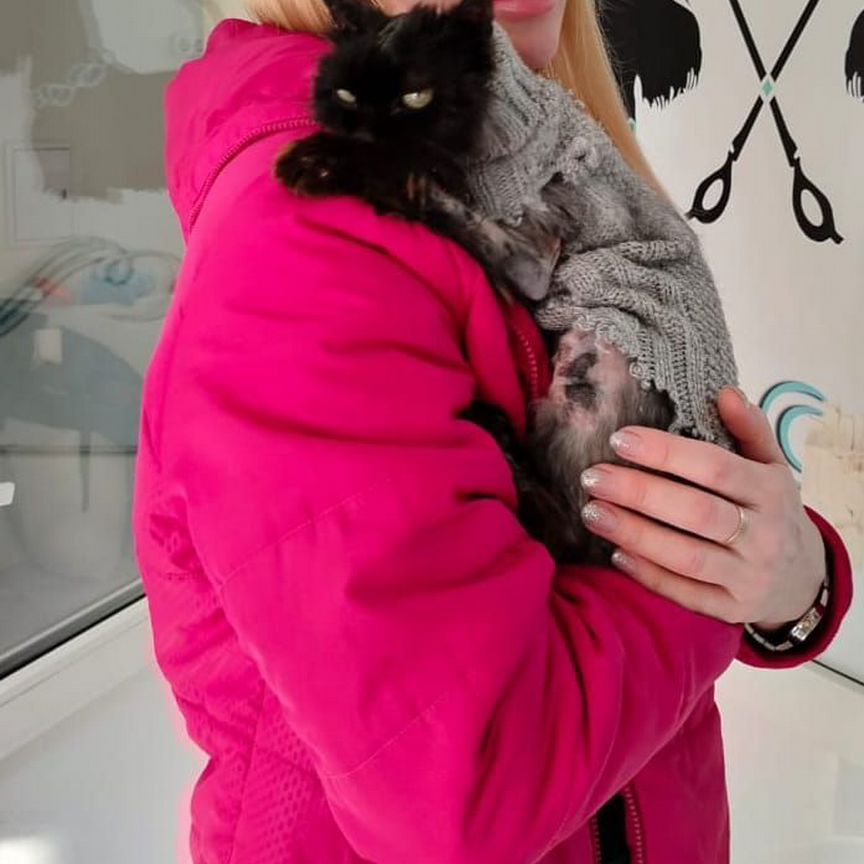 Викки хочет домой