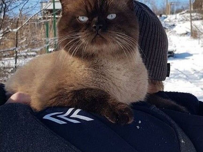 Вязка