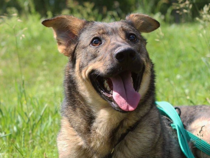 Лили страшно в приюте