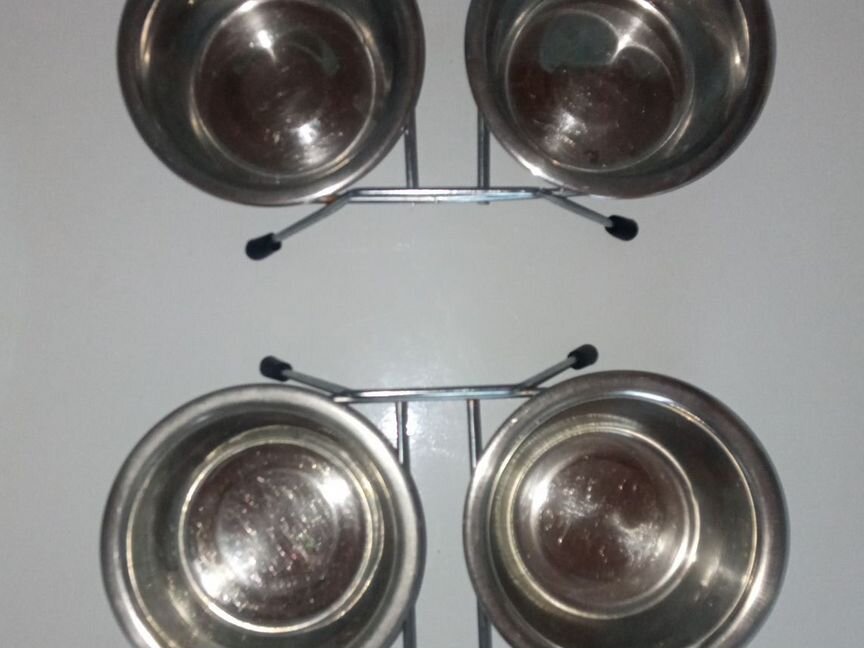 Миски для кошек на подставке