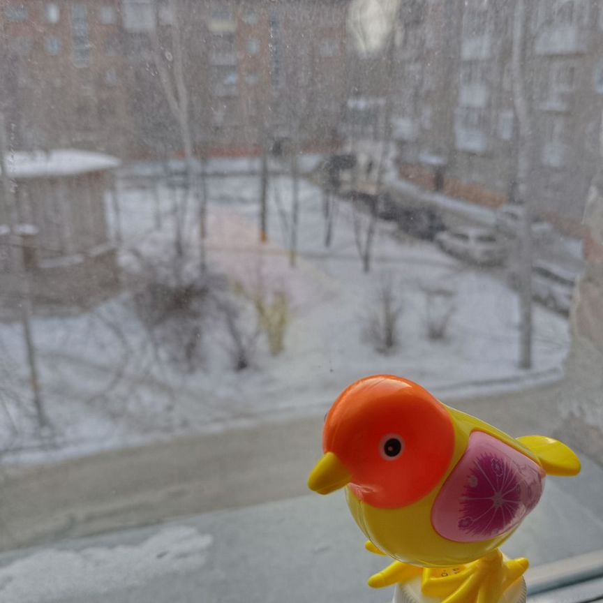 Птичка игрушка