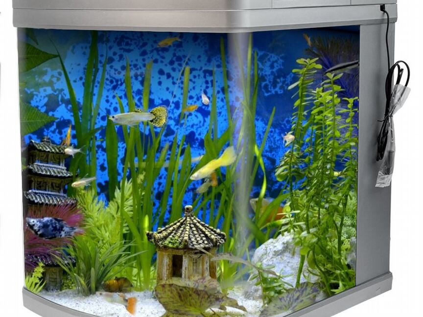 Аквариум Boyu Happy Family HS-60A панорамный, 128л