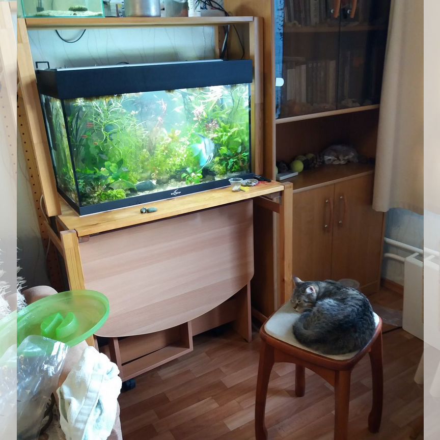 Стеллаж для аквариума бесплатно