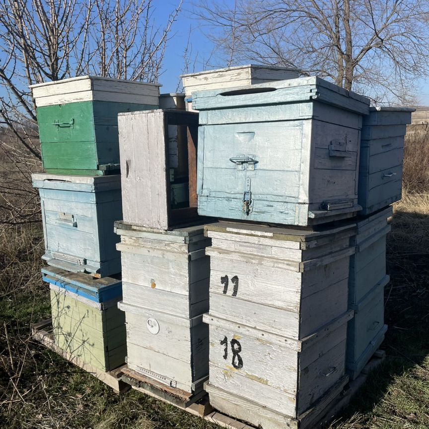 Улики для пчел