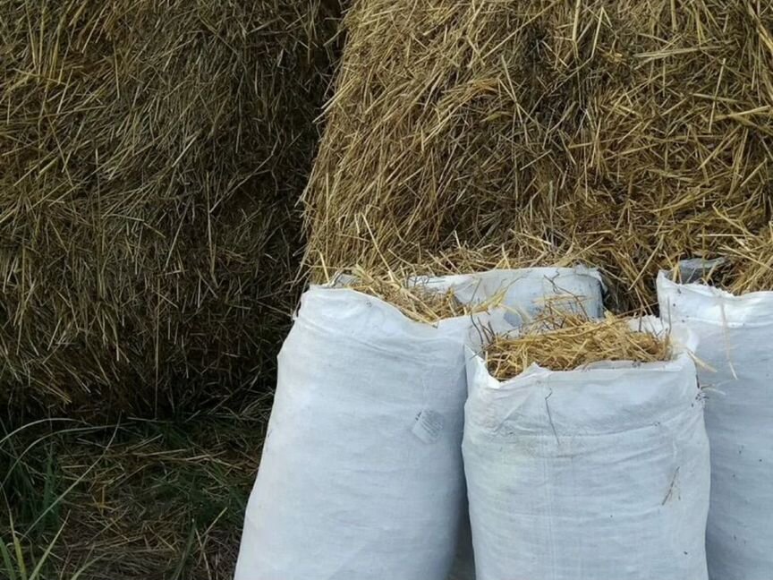 Солома в мешках