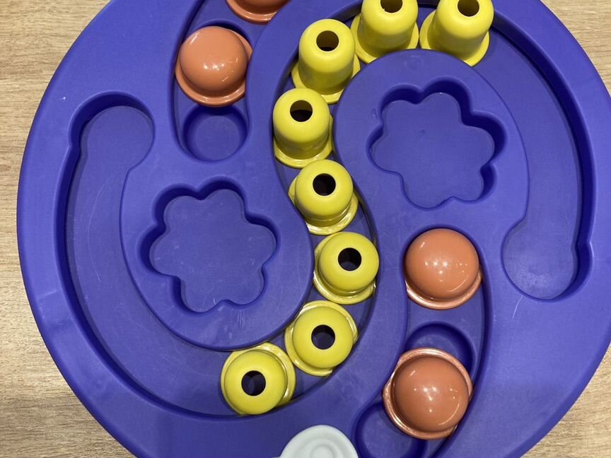 Головоломка для собак