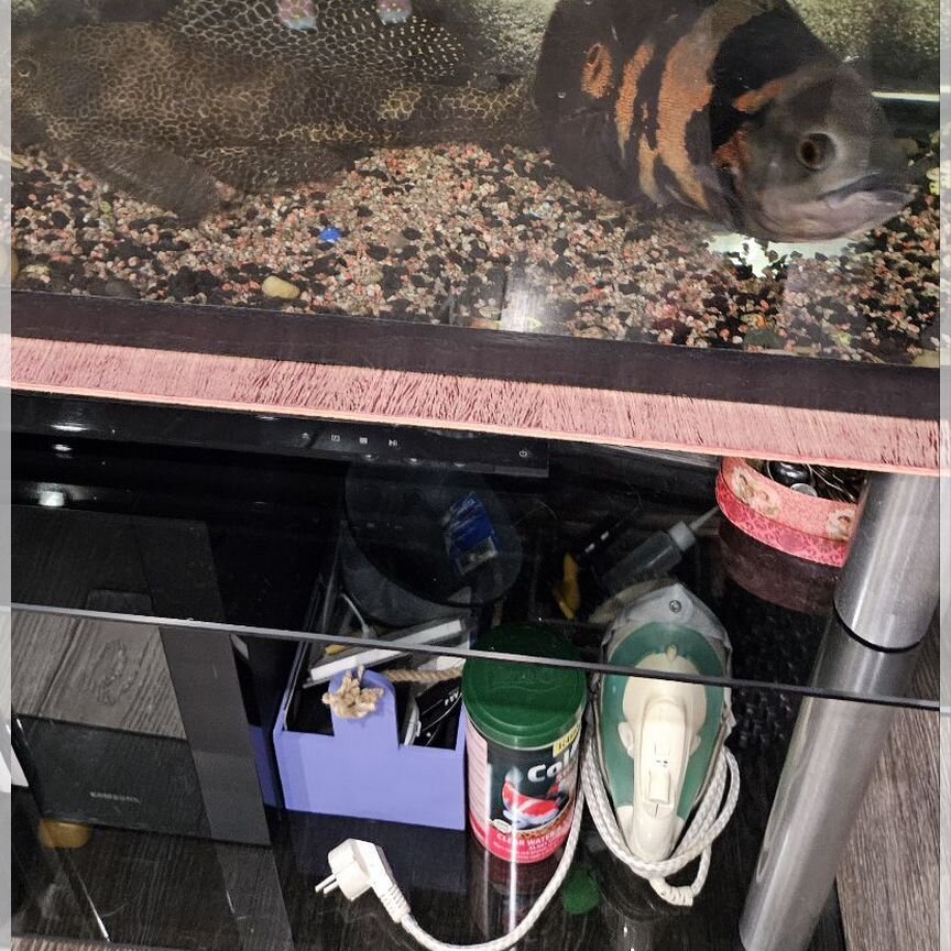 Продам аквариум бу с рыбами