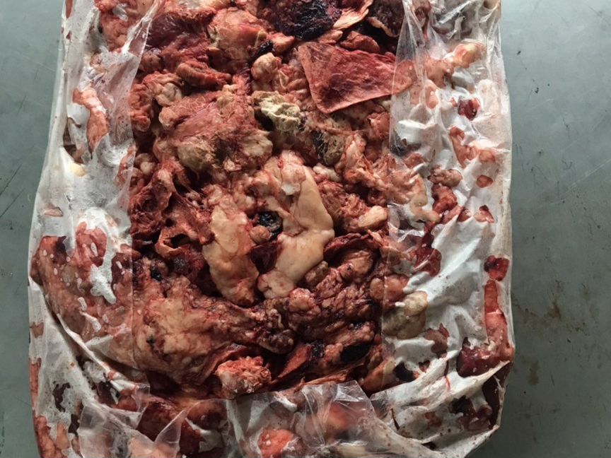 Корма для животных