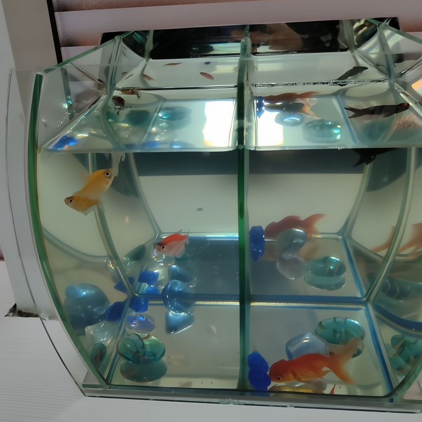 Аквариум для рыбок и для рыбы петушка бу