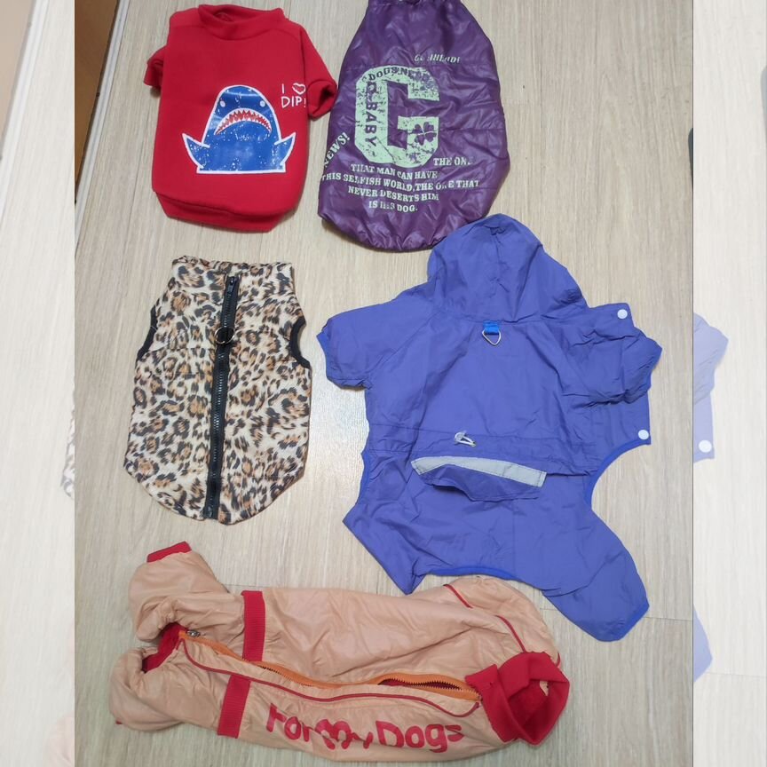 Одежда для маленькой породы собак