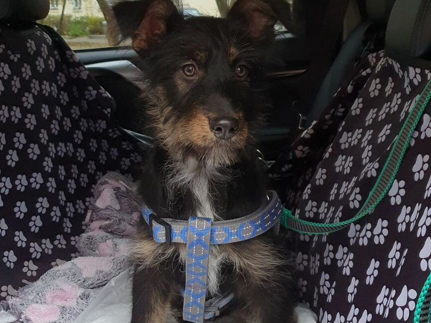 Чудесный ребёнок