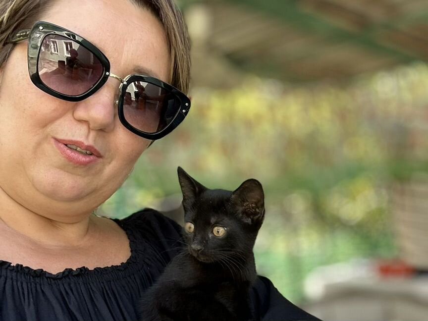 Кошка в дар бесплатно