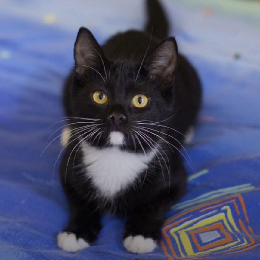 Редкого очарования малышка