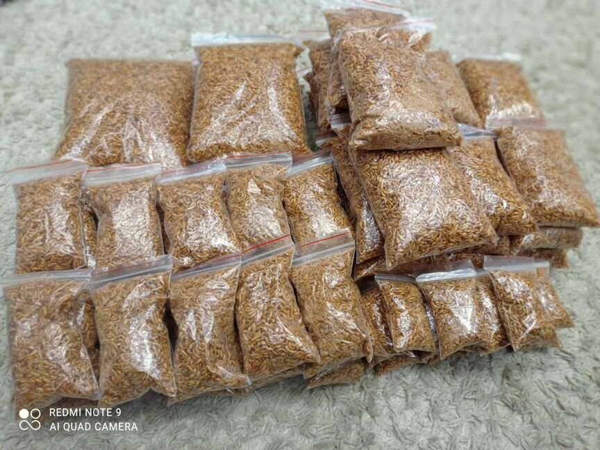 Гаммарус корм для рыб и рептилий