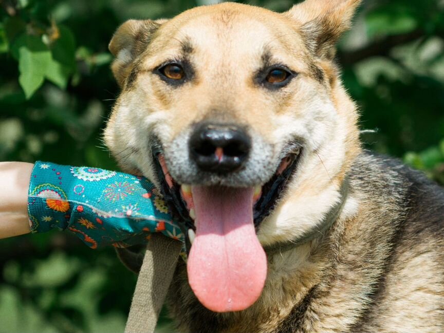 Жора и Соня