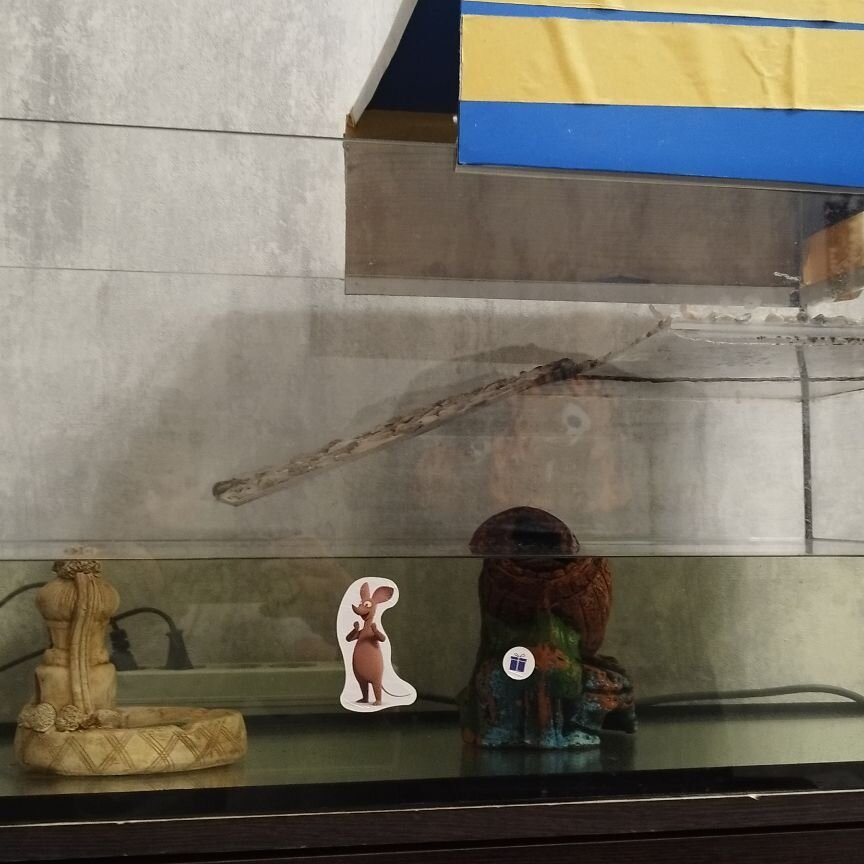 Большой аквариум для черепах