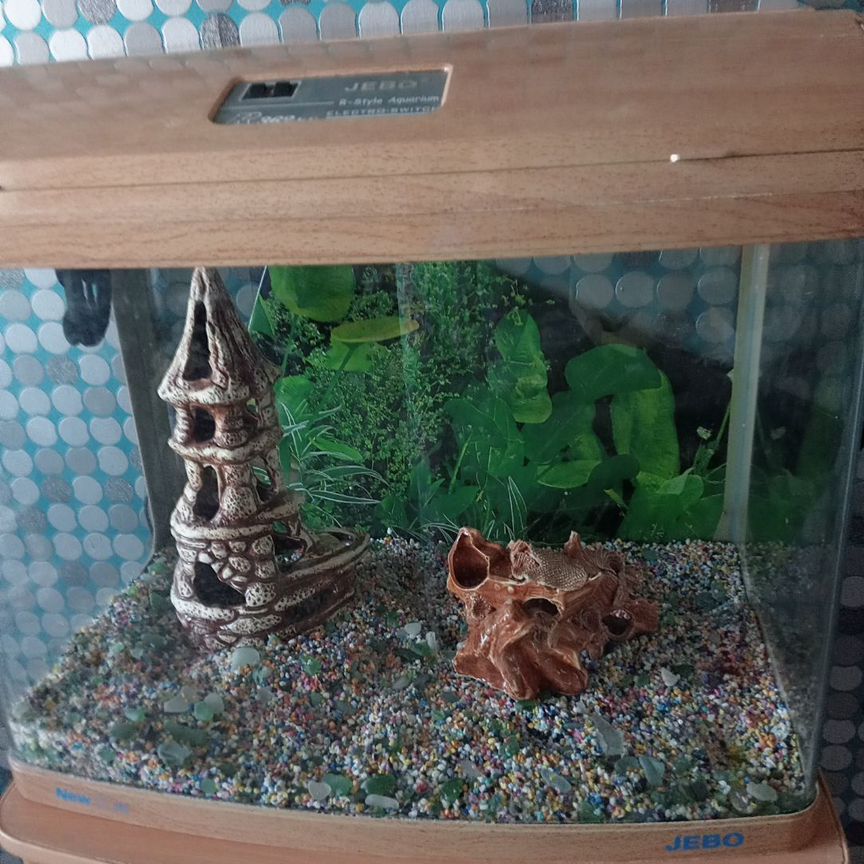 Аквариум с декорациями и оборудованием