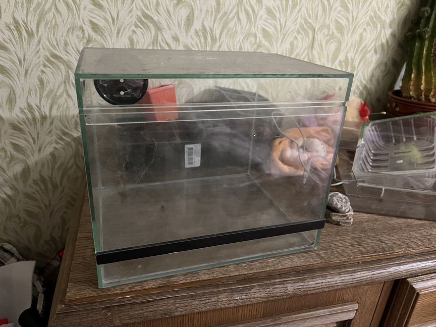 Паучатник с термометром-гигрометром