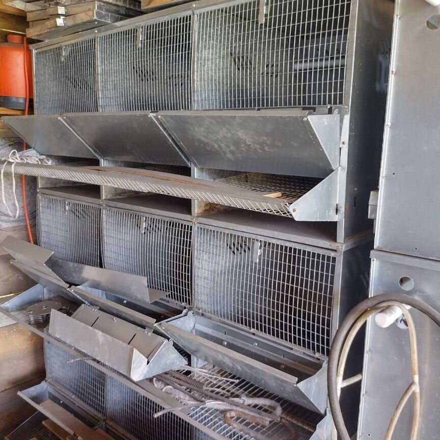 Клетки для кур несушек бу