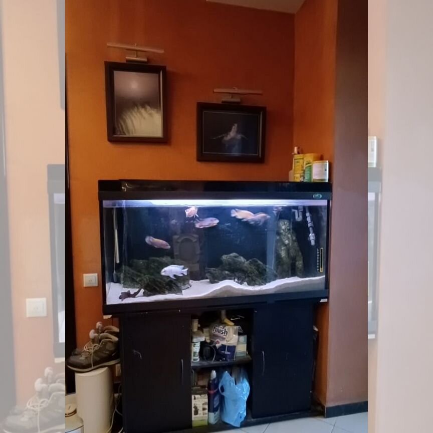 Аквариум (240 л) с тумбой