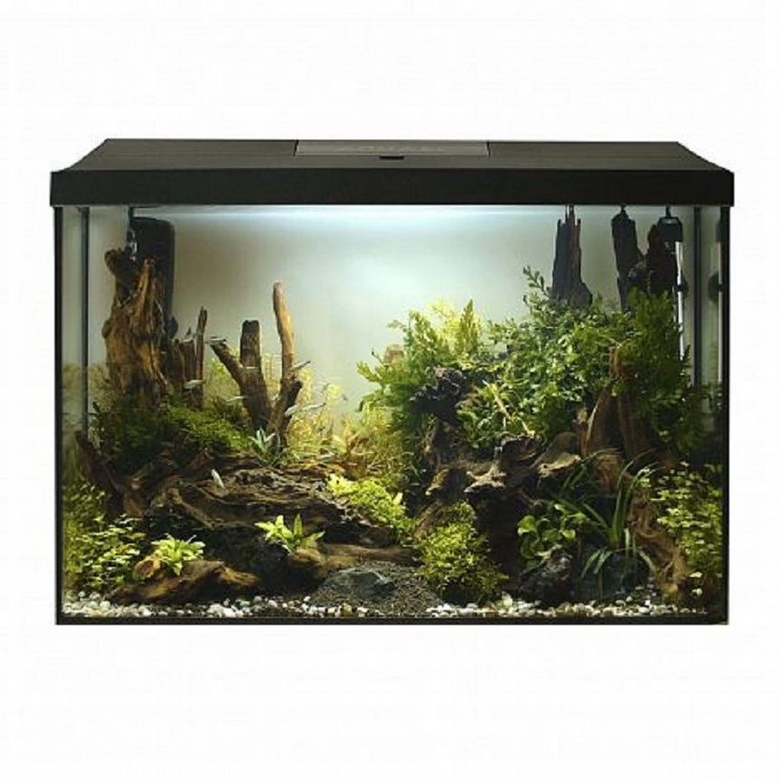 Аквариум aquael leddy 60 XL D&N 2.0 прямой (72 л)