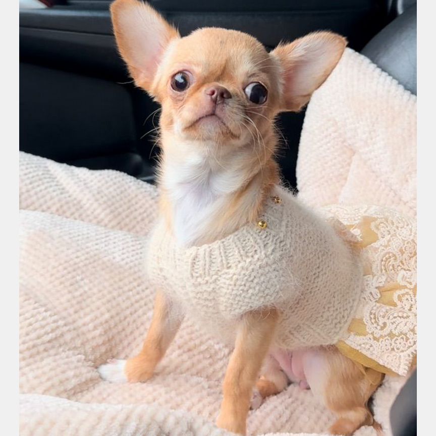 Мини девочка с изюминкой