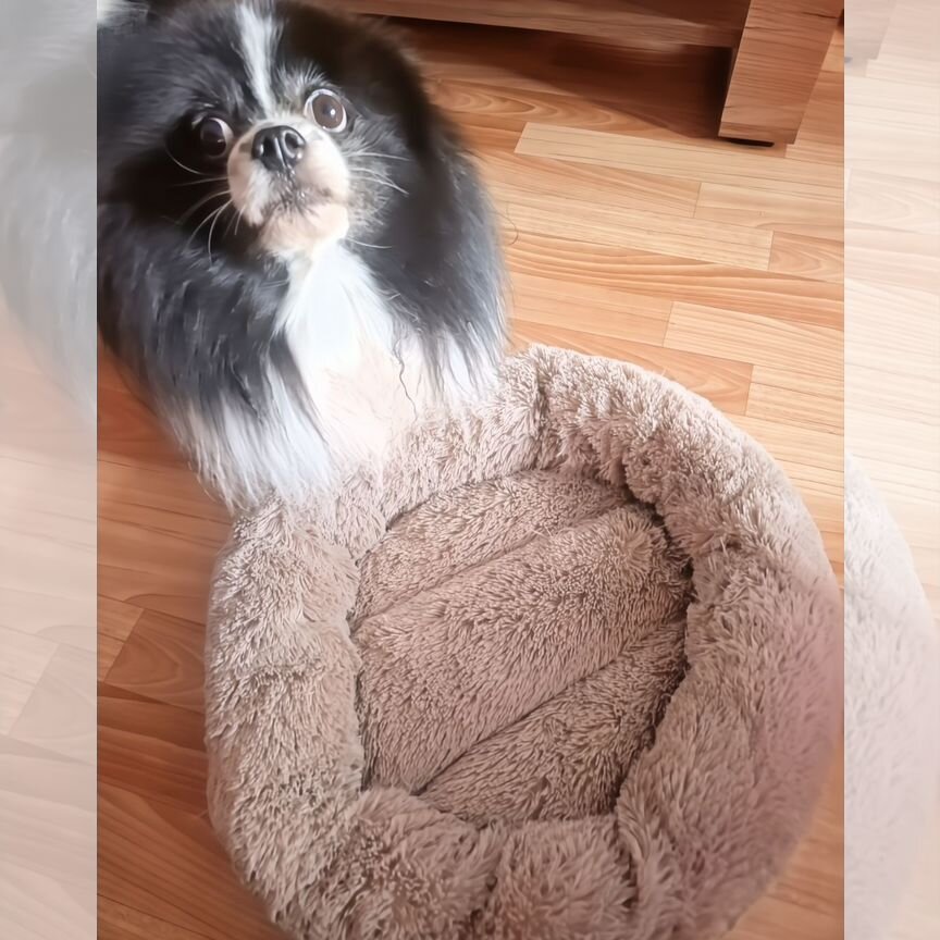 Лежанка для собак