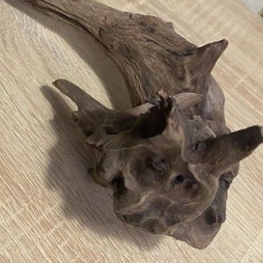 Коряга для аквариума