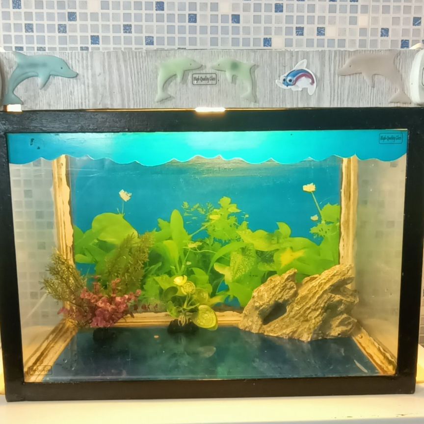 Продам аквариум 50 л
