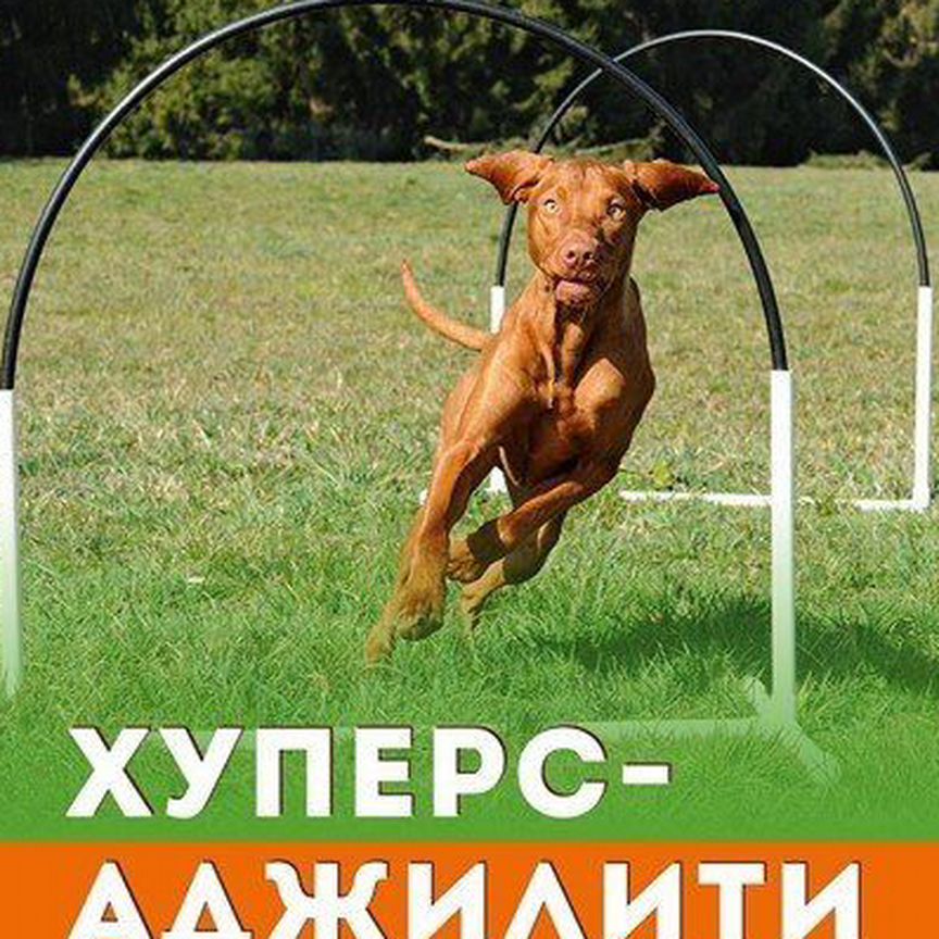 Бауэр Т., Лехари Г. Хуперс-аджилити: спорт для соб