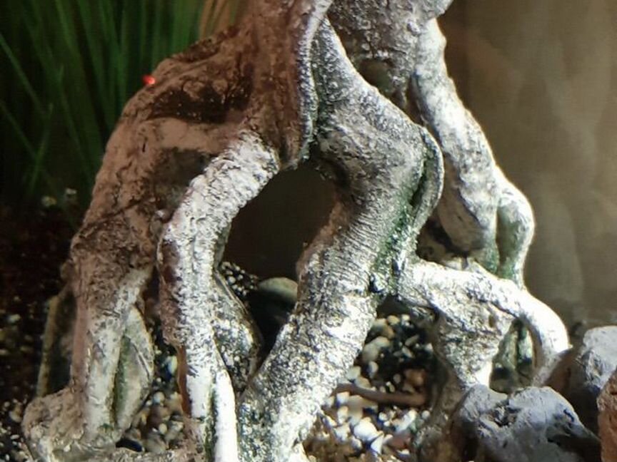 Коряга керамика в аквариум, палюдариум, террариум