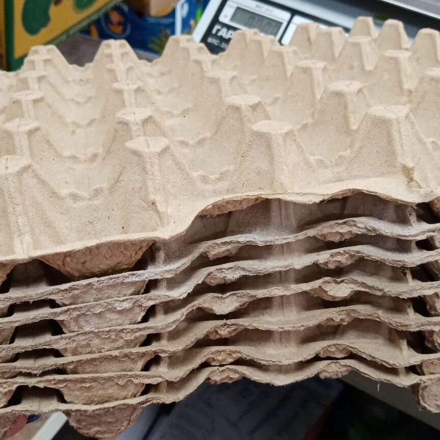 Клетки для яиц