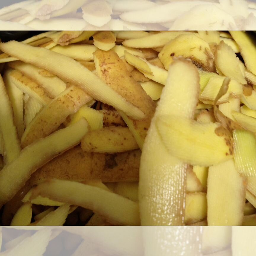 Пищевые отходы