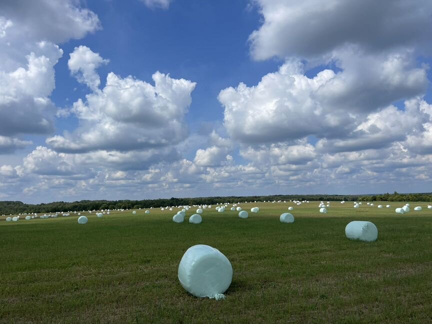 Солома,Сеннаж в рулонах,люцерна,горох,вика,овес