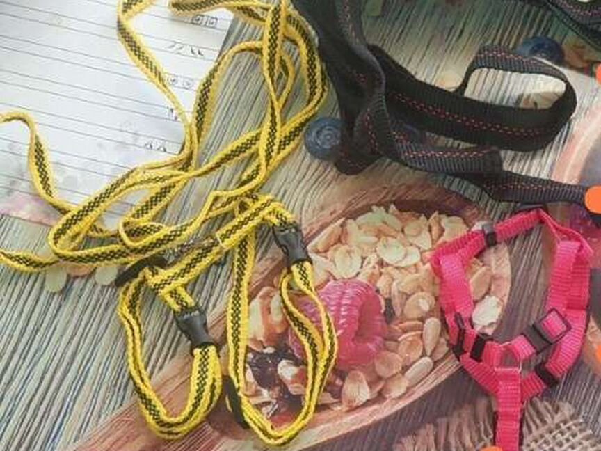 Шлейка ошейник поводок