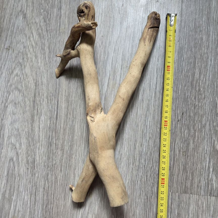 Коряга