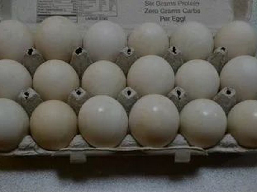 Продам яйцо куриное и утиное домашнее