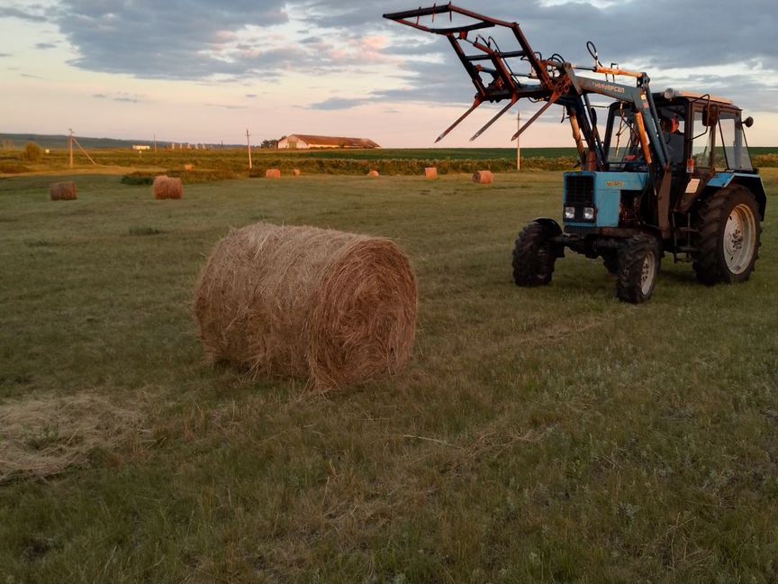 Продам сено в рулонах