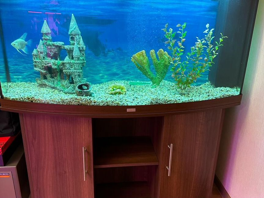 Аквариум Juwel Vision 450 LED Германия с тумбой