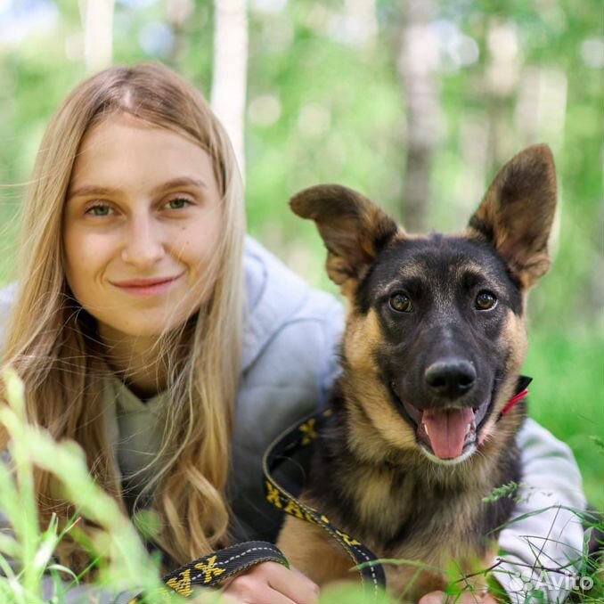 Собака в дар, Дафна