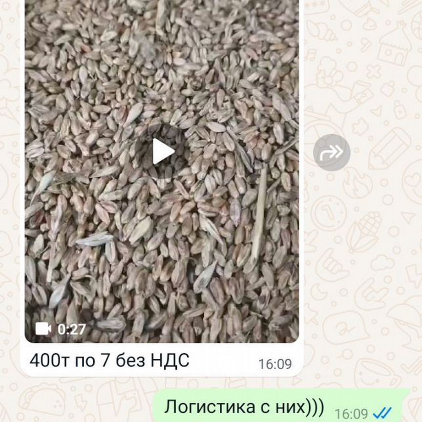 Продам Зерно пшеницы