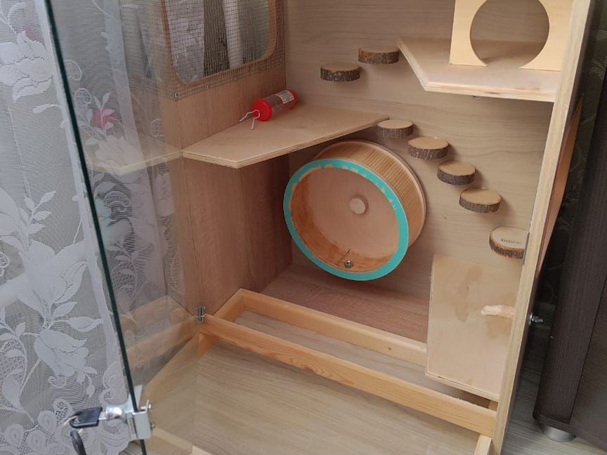 Витрина для дегу