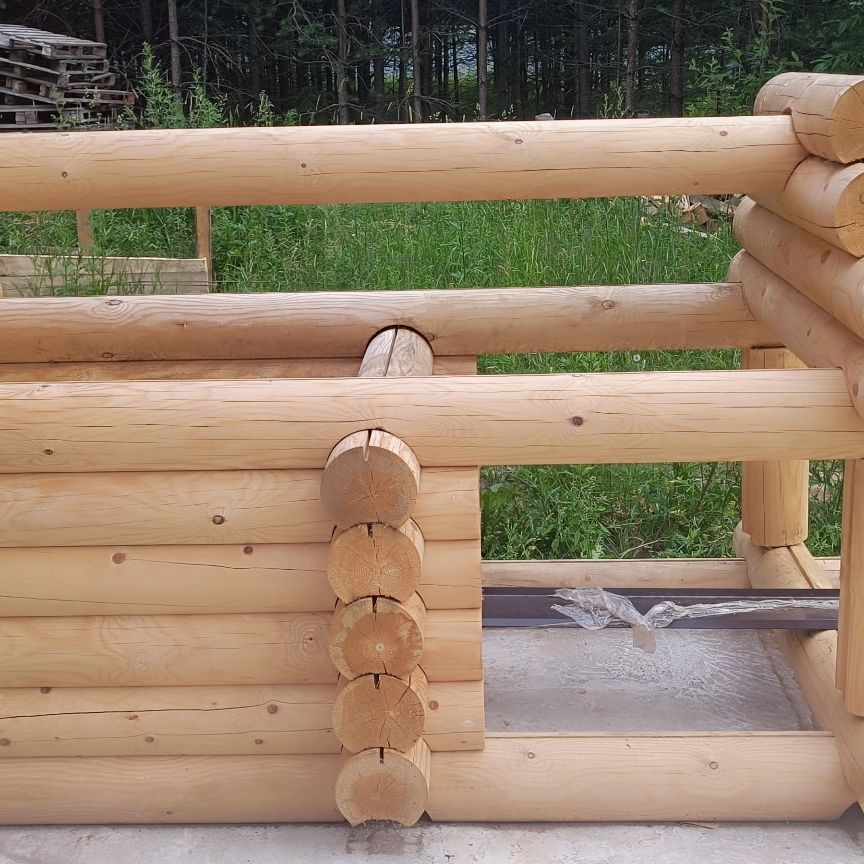 Собачья конура