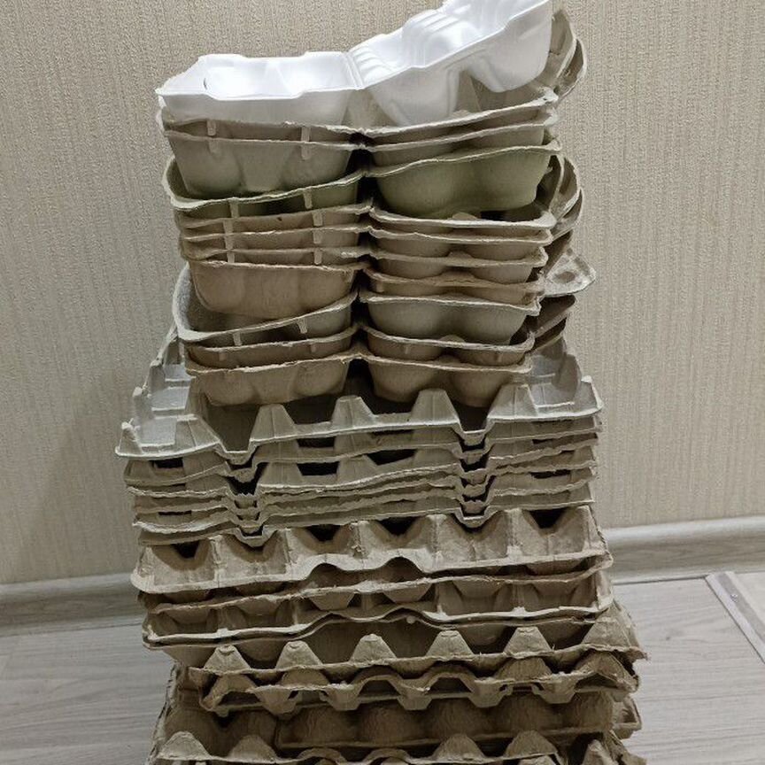 Яичные лотки